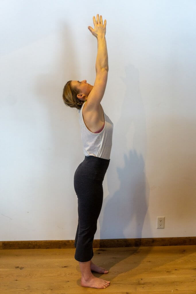 Easy Sun Salutation 2-min - Ryder Walker