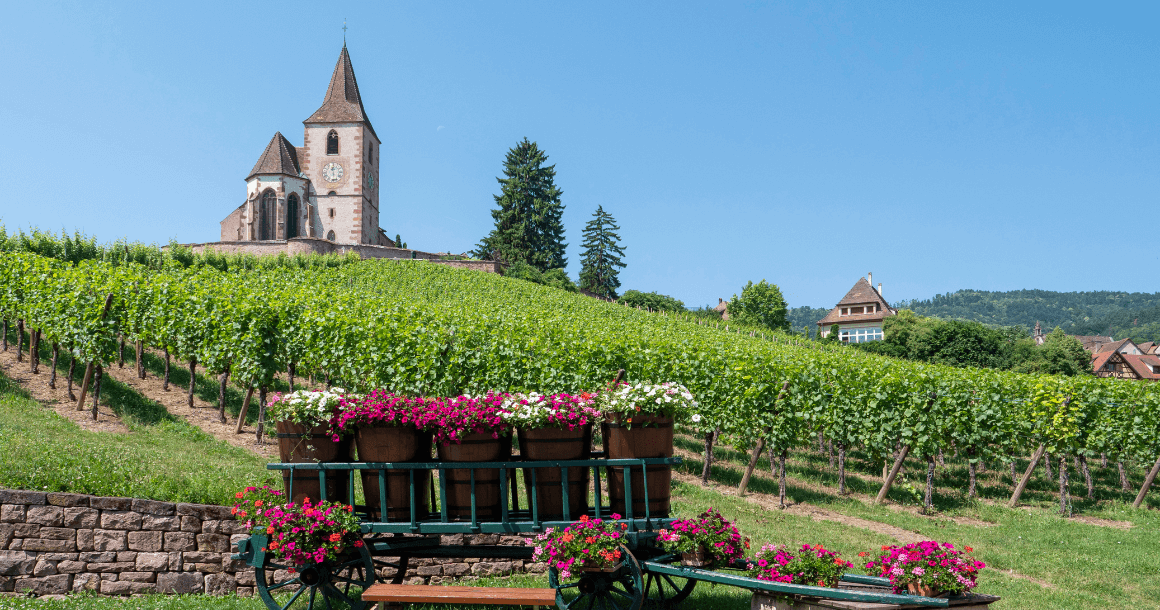 alsace castle - Ryder-Walker